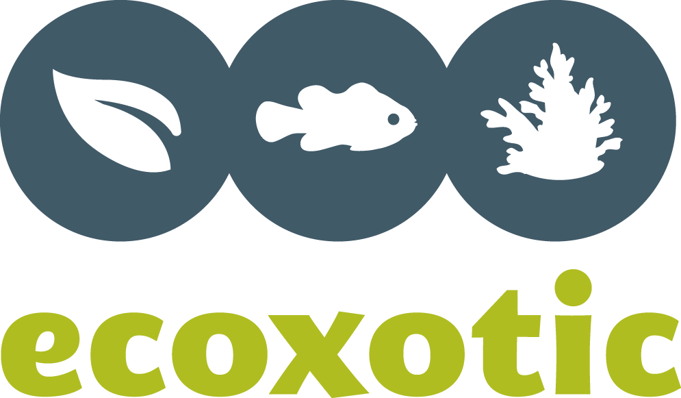 Ecoxotic – LED Lighting for Professional Aquarists
